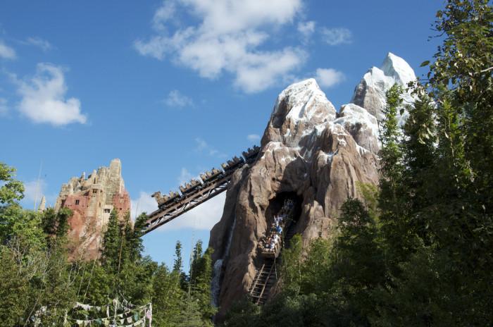 Best Rides at Walt Disney World Florida - G'Day World